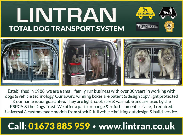 Lintran K9 – The Dogs Directory